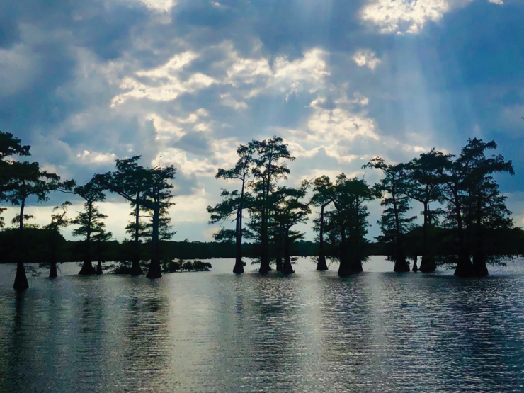 Shreveport artist Maria Markell opens exhibition at Meadows Museum of ...